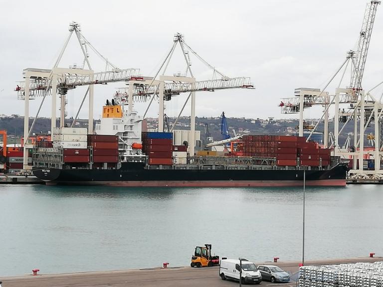 MARLA TIGER, Container Ship - Details and current position - IMO ...