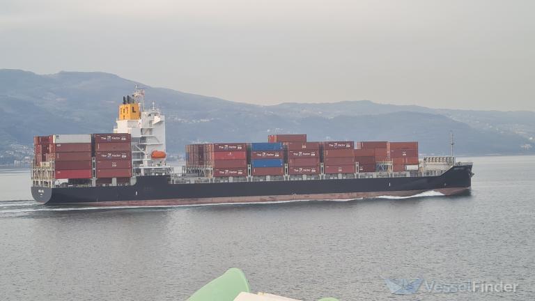 MARLA BULL, Container Ship - Details and current position - IMO 9932945 ...