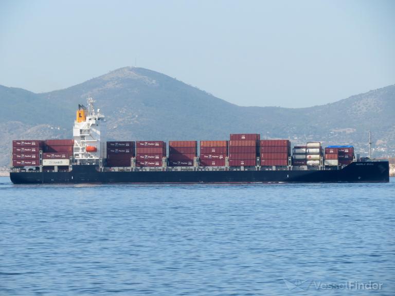 MARLA BULL, Container Ship - Details and current position - IMO 9932945 ...