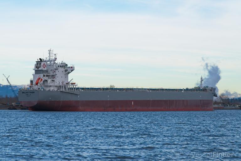 BRILLIANT TRADER, Bulk Carrier - Details and current position - IMO ...