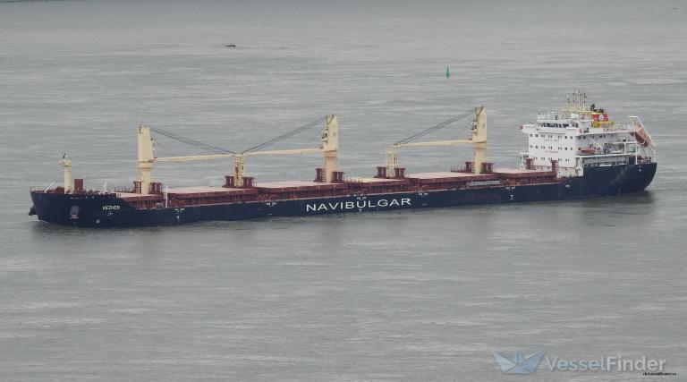 VEZHEN, Bulk Carrier - Details and current position - IMO 9937270 ...
