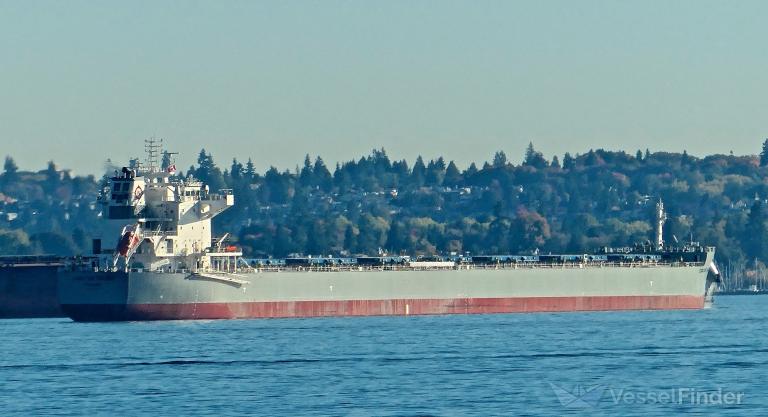 CARLTON TRADER, Bulk Carrier - Details and current position - IMO ...