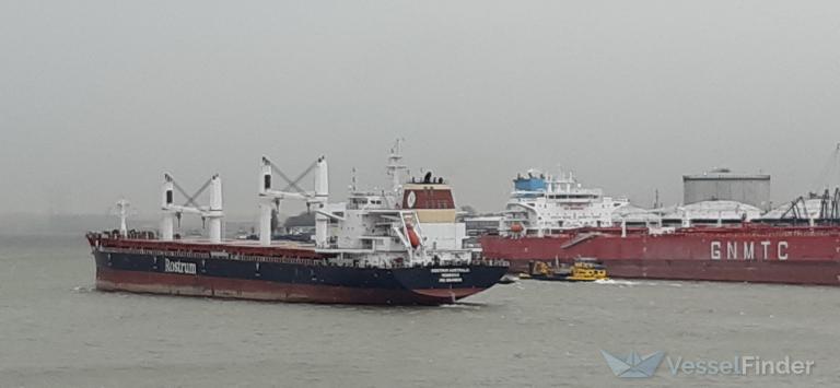 ROSTRUM AUSTRALIA, Bulk Carrier - Details and current position - IMO ...