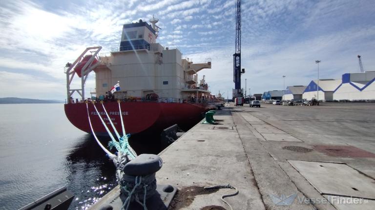 FEDERAL PRESTIGE, Bulk Carrier - Details and current position - IMO ...