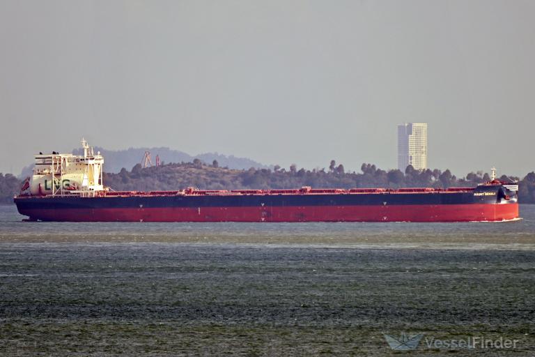 MOUNT DENALI, Bulk Carrier - Details and current position - IMO 9945681 ...