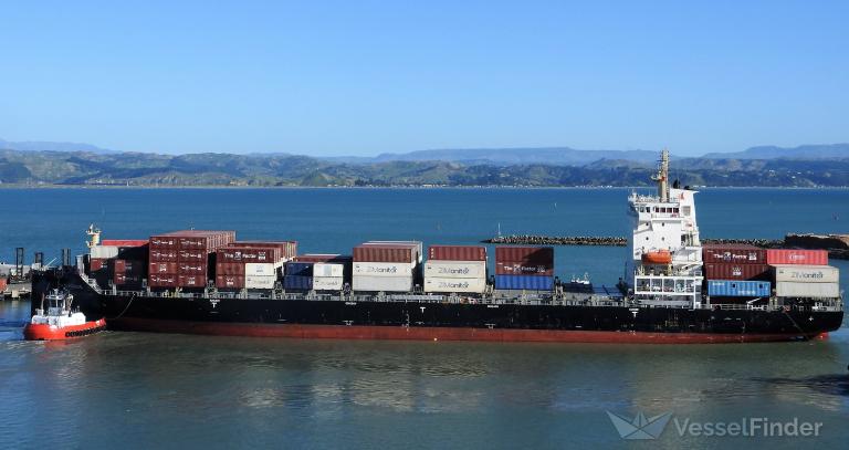 H CYGNUS, Container Ship - Details and current position - IMO 9946233 ...