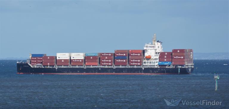 H MERCURY, Container Ship - Details and current position - IMO 9946245 ...