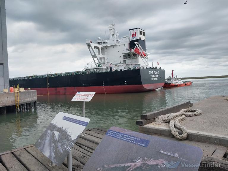 XING FU HAI, Bulk Carrier - Details and current position - IMO 9949302 ...