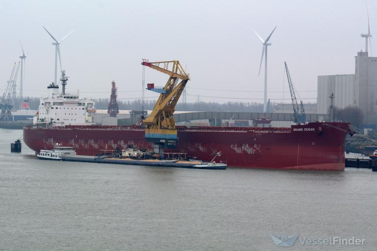 GRAND OCEAN, Bulk Carrier - Details and current position - IMO 9949651 ...