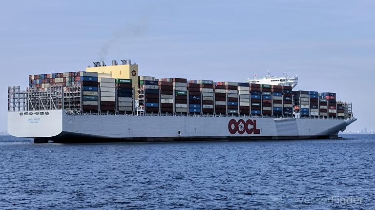 OOCL VIOLET, Container Ship - Details and current position - IMO 9949778 - VesselFinder