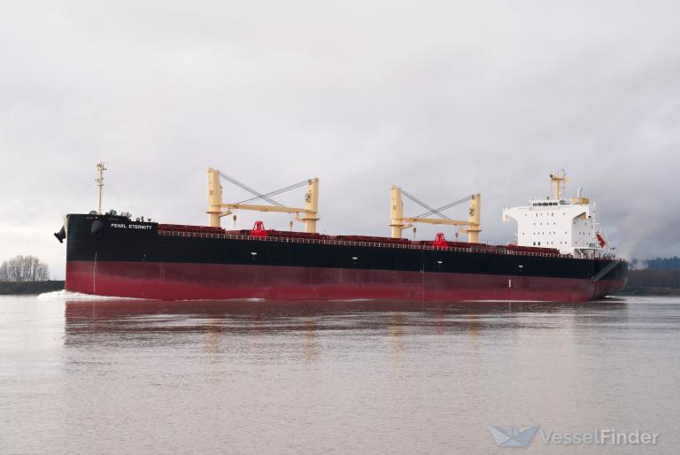 PEARL ETERNITY, Bulk Carrier - Details and current position - IMO ...
