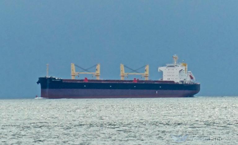RUBY ETERNITY, Bulk Carrier - Details and current position - IMO ...