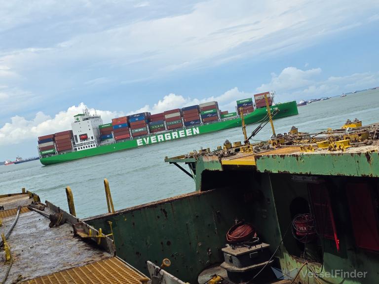 EVER VIM, Container Ship - Details and current position - IMO 9950935 ...