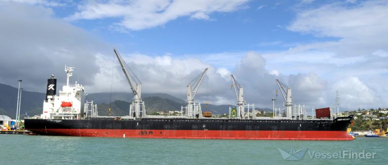 HANDY INCLUSIVITY, Bulk Carrier - Details and current position - IMO ...