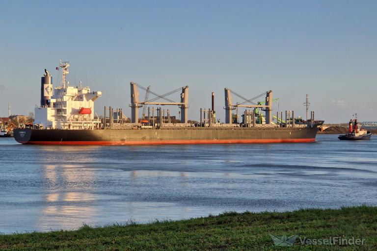 TURBO S, Bulk Carrier - Details and current position - IMO 9951886 ...