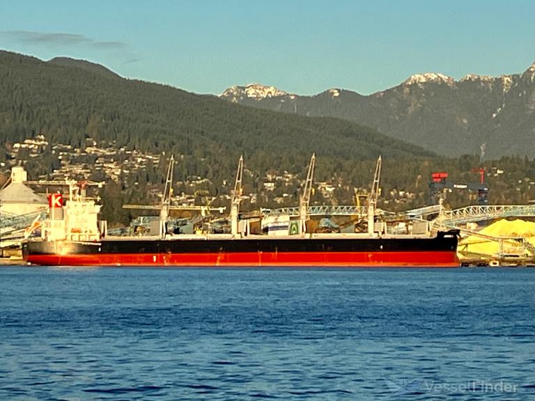 JASMINE K, Bulk Carrier - Details and current position - IMO 9951915 ...