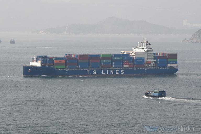 TS SHEKOU, Container Ship - Details and current position - IMO 9952397 ...