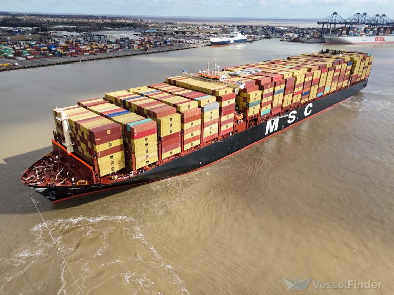 MSC STACEY, Container Ship - Details and current position - IMO 9954759 ...