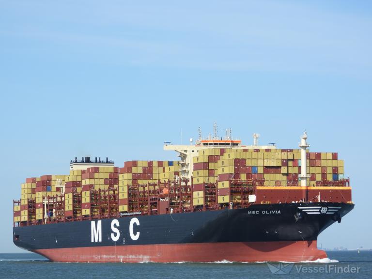 MSC OLIVIA, Container Ship - Details and current position - IMO 9954761 ...