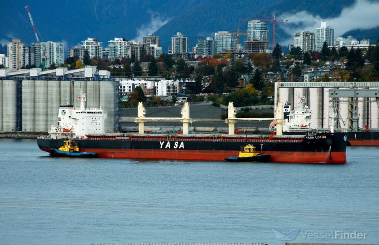 YASA LOTUS, Bulk Carrier - Details and current position - IMO 9955624 ...