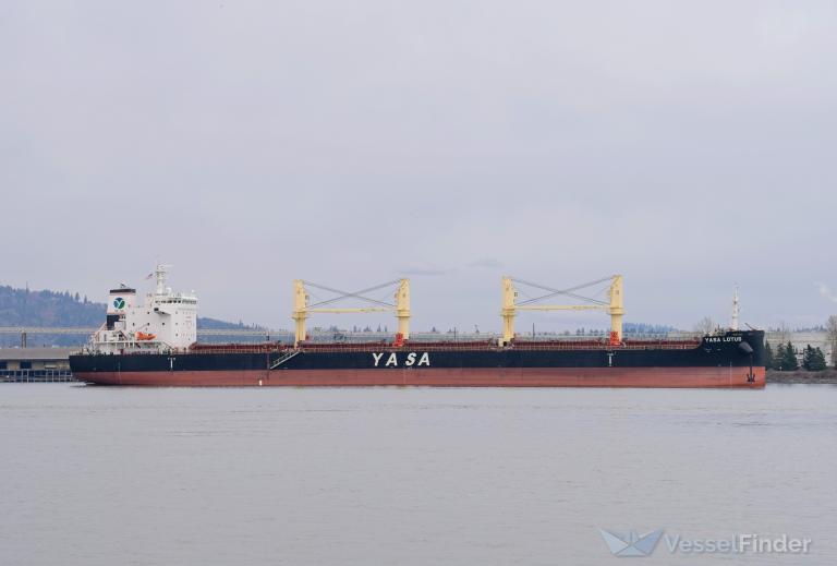 YASA LOTUS, Bulk Carrier - Details and current position - IMO 9955624 ...
