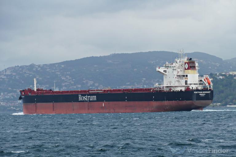 ROSTRUM HEDONIST, Bulk Carrier - Schiffsdaten und aktuelle Position ...