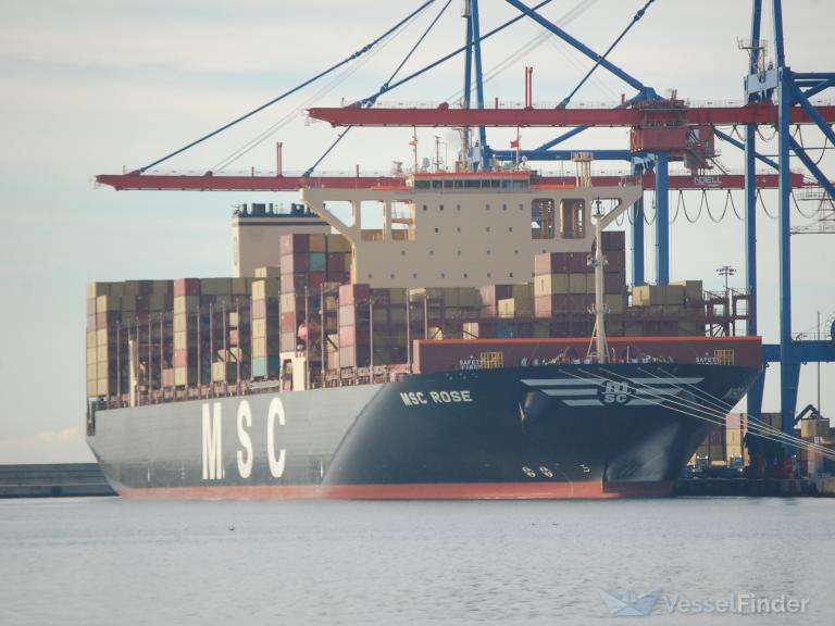 MSC ROSE, Container Ship - Details and current position - IMO 9957359 ...