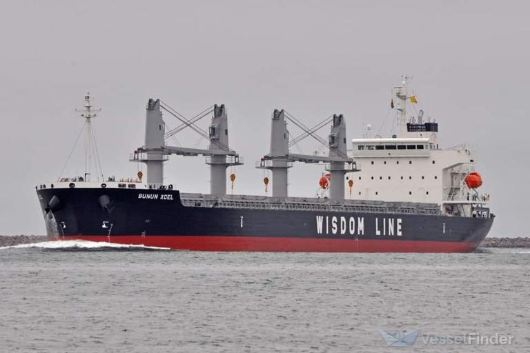 BUNUN XCEL, Bulk Carrier - Details and current position - IMO 9959307 ...