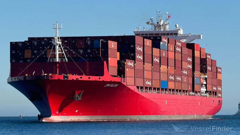 ZIM FALCON, Container Ship - Details and current position - IMO 9960514 ...