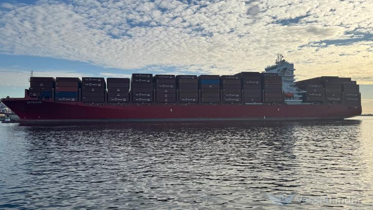 ZIM PELICAN, Container Ship - Details and current position - IMO ...