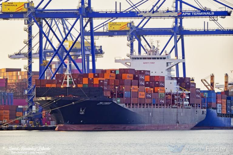 ZIM CONDOR, Container Ship - Details and current position - IMO 9960552 ...