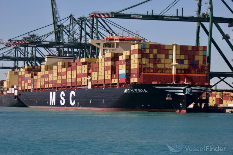 MSC ILENIA, Container Ship - Details and current position - IMO 9962548 ...