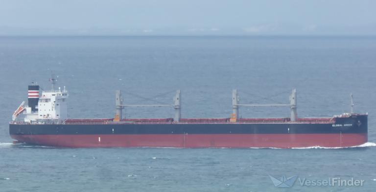 GLOBAL GREEN, Bulk Carrier - Details and current position - IMO 9963293 ...