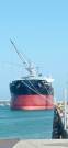 PAVO BRAVE, Bulk Carrier - Details and current position - IMO 9894480 ...