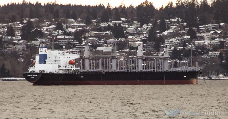 FRANBO BRAVE, Bulk Carrier - Details and current position - IMO 9965526 - VesselFinder