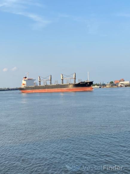 SQUAXIN ISLAND, Bulk Carrier - Details and current position - IMO ...