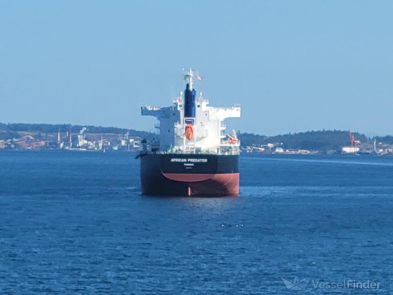 AFRICAN PREDATOR, Bulk Carrier - Details and current position - IMO ...