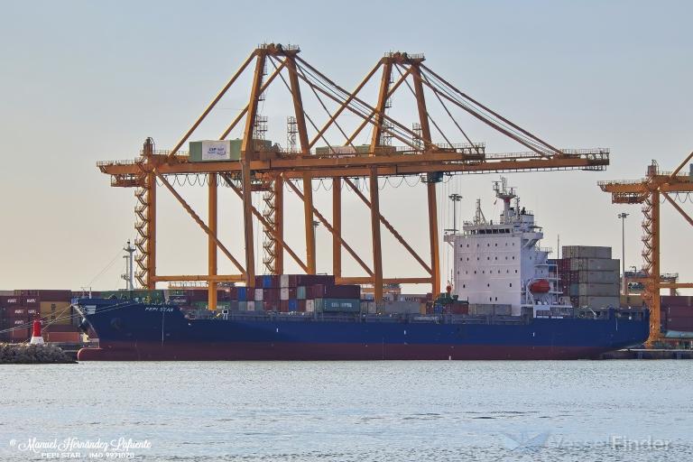 PEPI STAR, Container Ship - Details and current position - IMO 9971020 ...