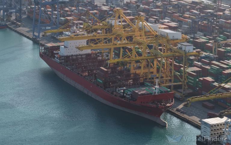 DP WORLD JEBEL ALI, Container Ship - Details and current position - IMO ...