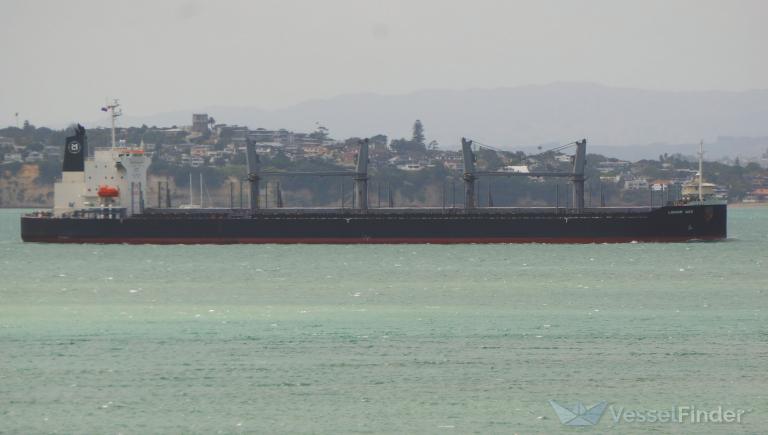 LIGNUM WEB, Bulk Carrier - Details and current position - IMO 9973054 ...