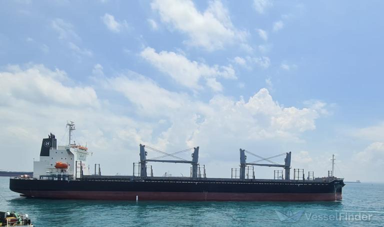 LIGNUM WEB, Bulk Carrier - Details and current position - IMO 9973054 ...