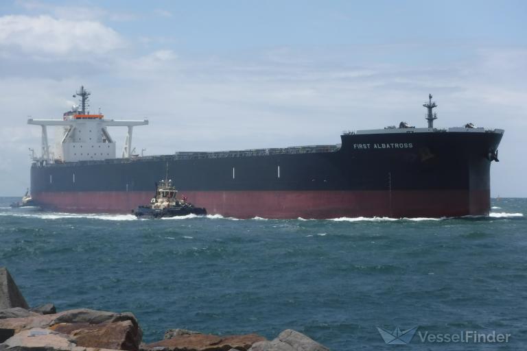 FIRST ALBATROSS, Bulk Carrier - Details and current position - IMO ...