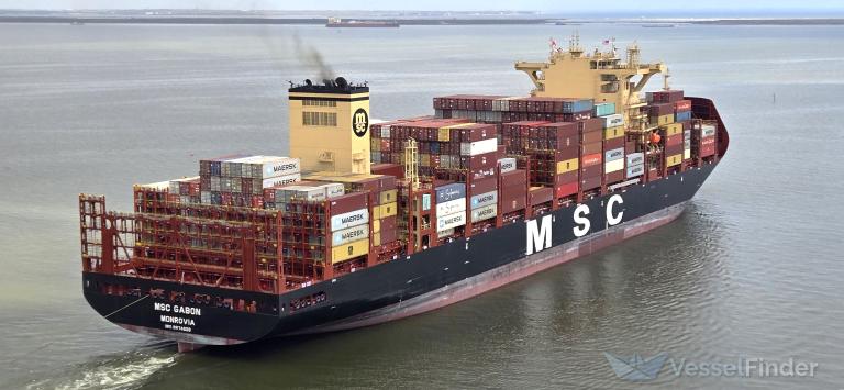 MSC GABON, Container Ship - Details and current position - IMO 9974539 ...