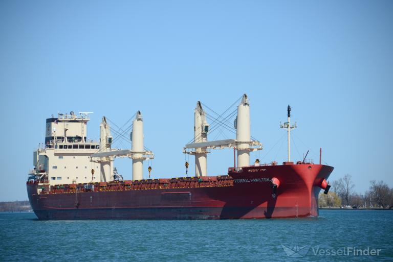 Ship Photos - VesselFinder