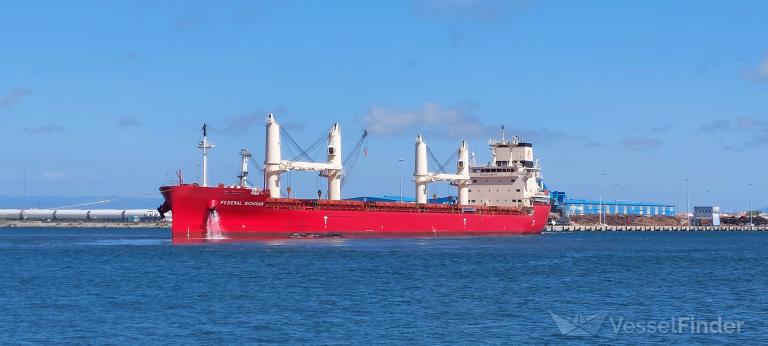 FEDERAL MICHIGAN, Bulk Carrier - Details and current position - IMO ...