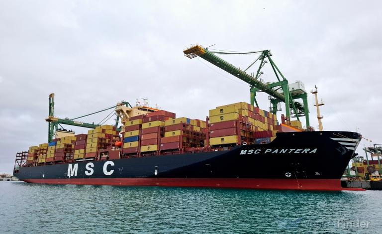 MSC PANTERA, Container Ship - Details and current position - IMO 9975557 - VesselFinder