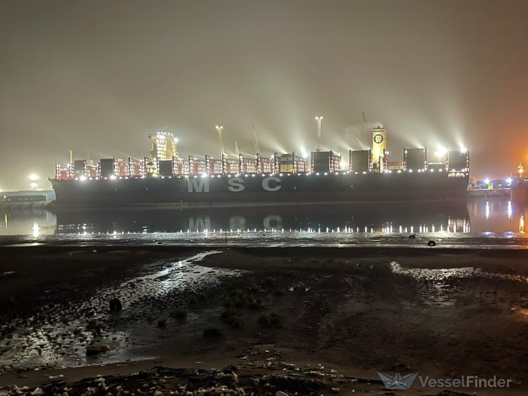 MSC FLORA, Container Ship - Details and current position - IMO 9978937 ...