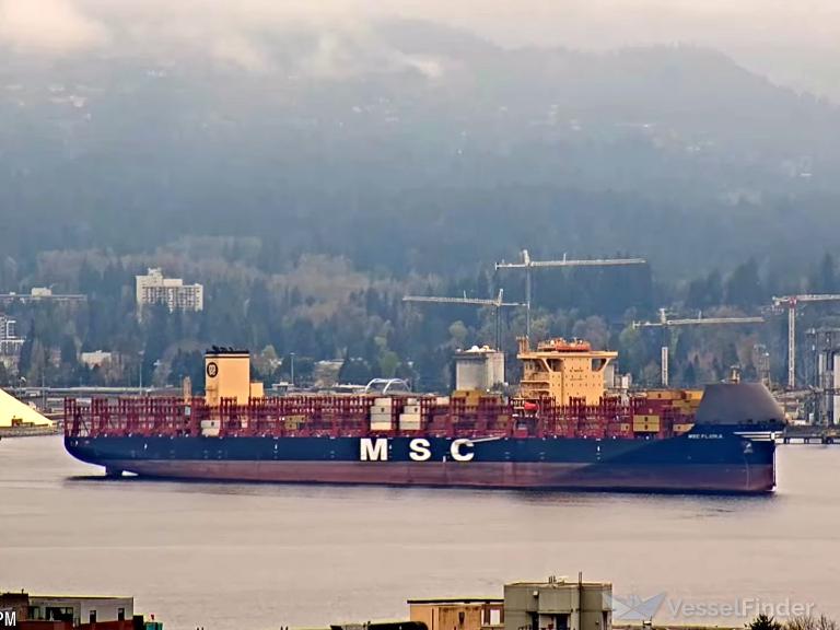 MSC FLORA, Container Ship - Details and current position - IMO 9978937 ...