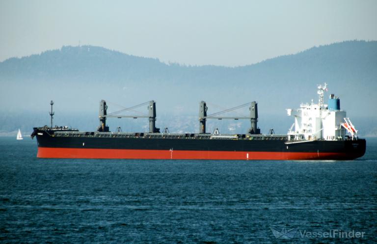 FAMIGLIA, Bulk Carrier - Details and current position - IMO 9979199 - VesselFinder