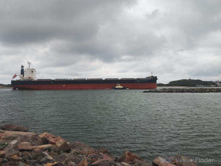 GREAT BERYL, Bulk Carrier - Details and current position - IMO 9980904 ...